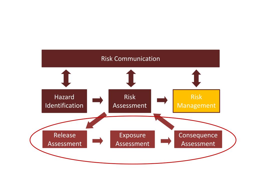 PPT - Risk Management (II) A country perspective and case study - HPAI ...