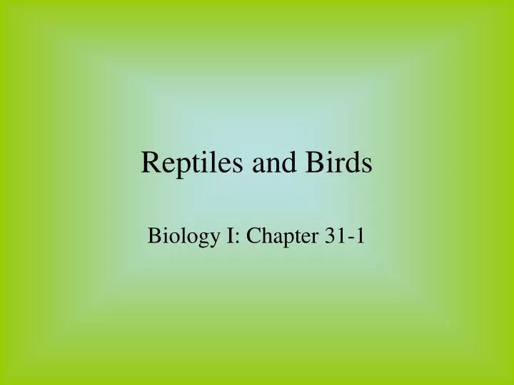 PPT - Reptiles and Birds PowerPoint Presentation, free download - ID ...