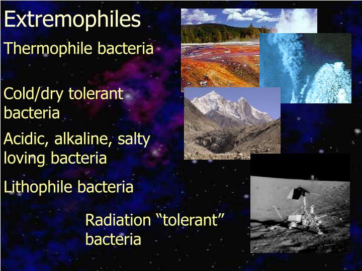 PPT - Theories on the Origin of Life PowerPoint Presentation - ID:2403266