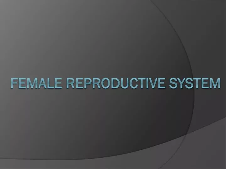 PPT - Female Reproductive System PowerPoint Presentation, free download ...