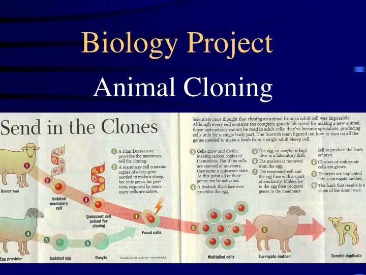 PPT - Biology Project PowerPoint Presentation, free download - ID:2404321