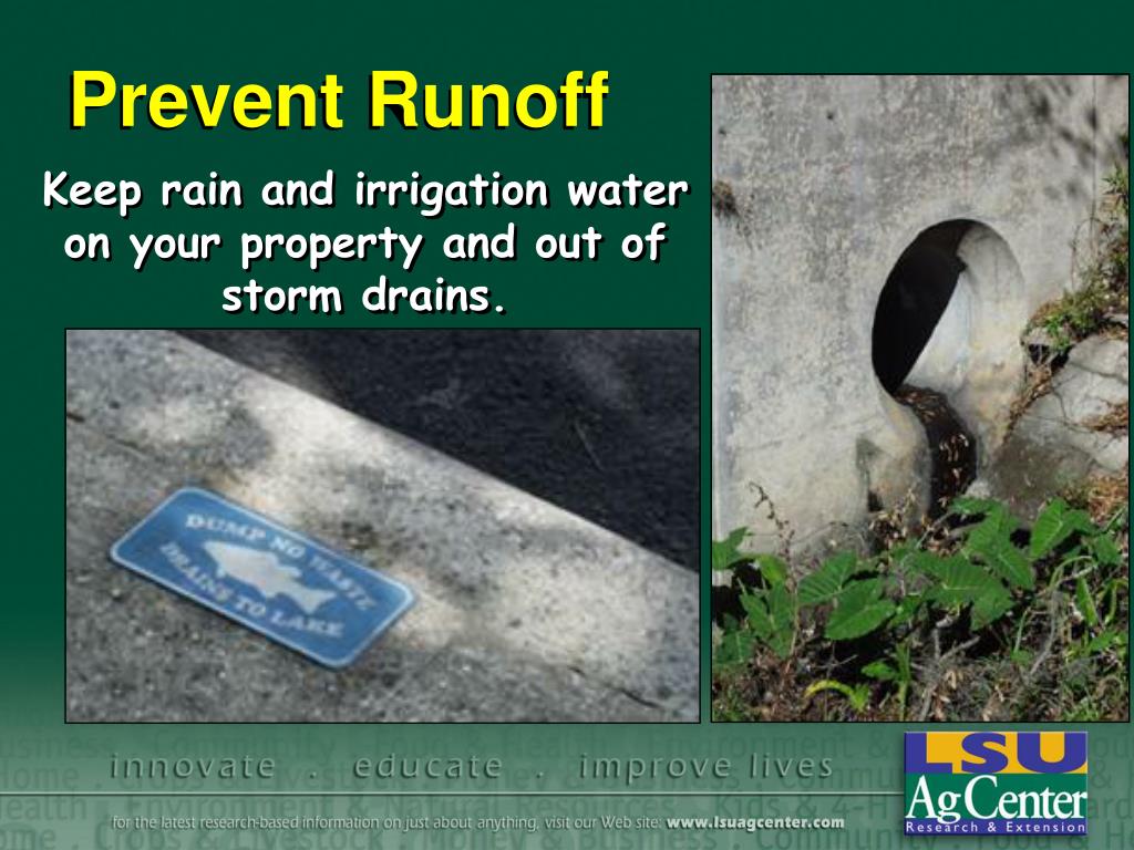 PPT - Louisiana Yards and Neighborhoods PowerPoint Presentation, free ...