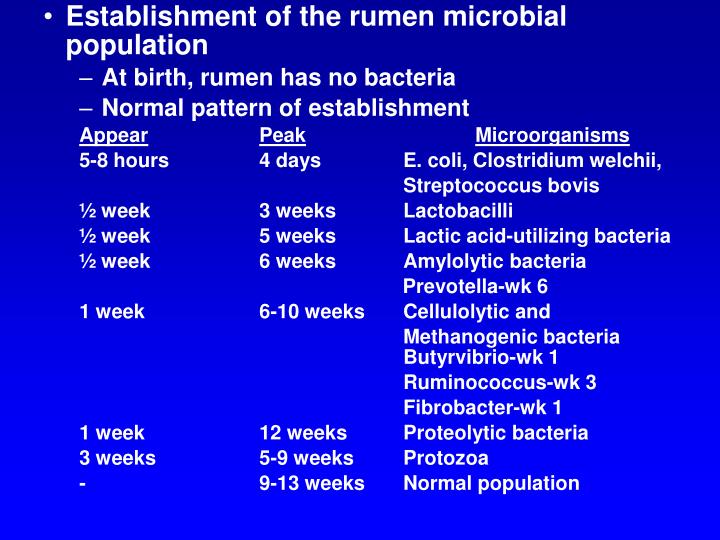 PPT - Rumen Microbiology PowerPoint Presentation - ID:2405120