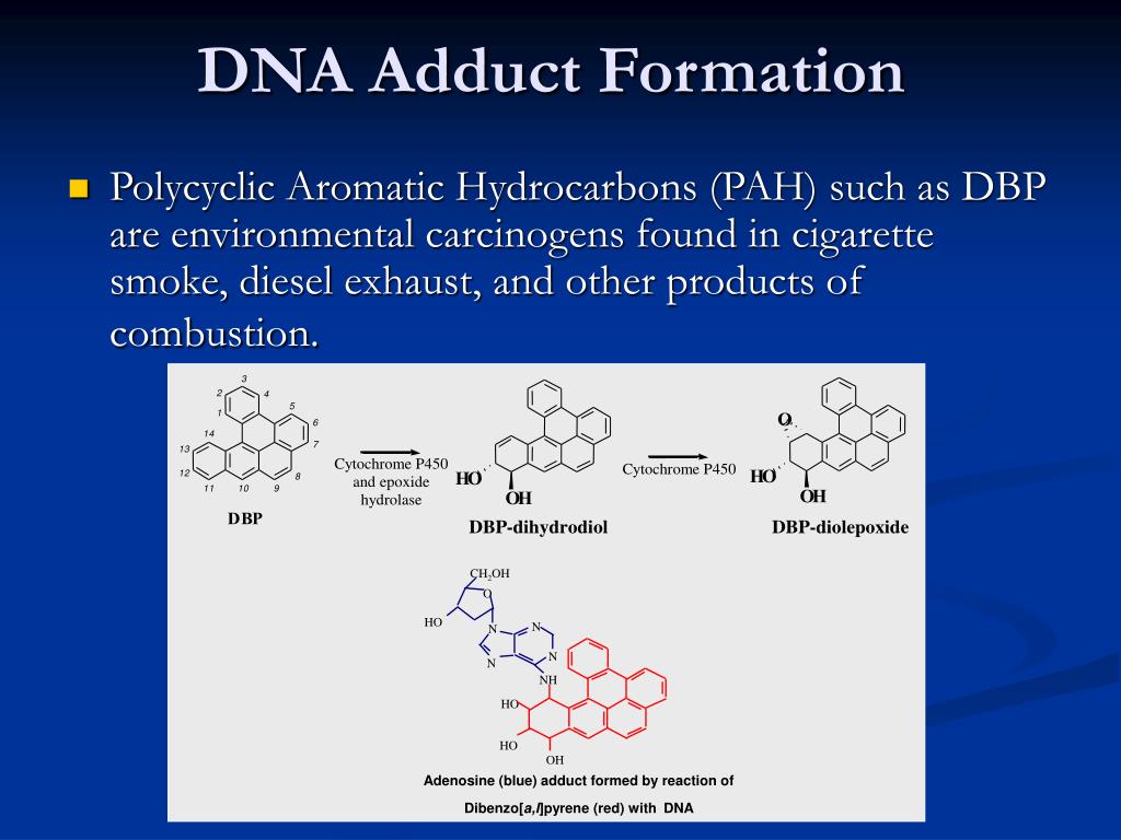 PPT - Role of DNA repair enzymes in removal of bulky DNA adducts in ...