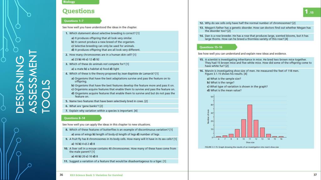 PPT - How can assessment improve learning in primary science ...