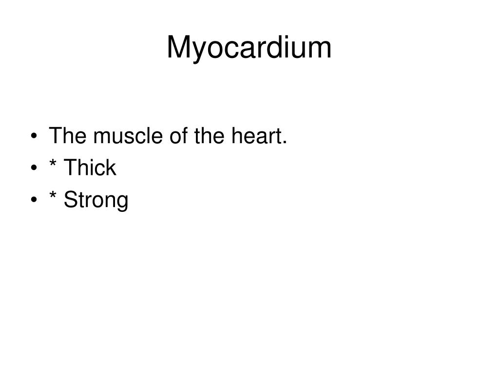 PPT - Understanding the Circulatory System: Functions and Components ...