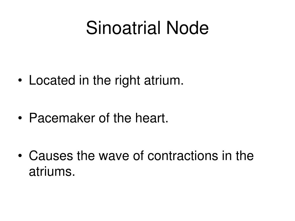 PPT - Circulatory System PowerPoint Presentation, free download - ID ...