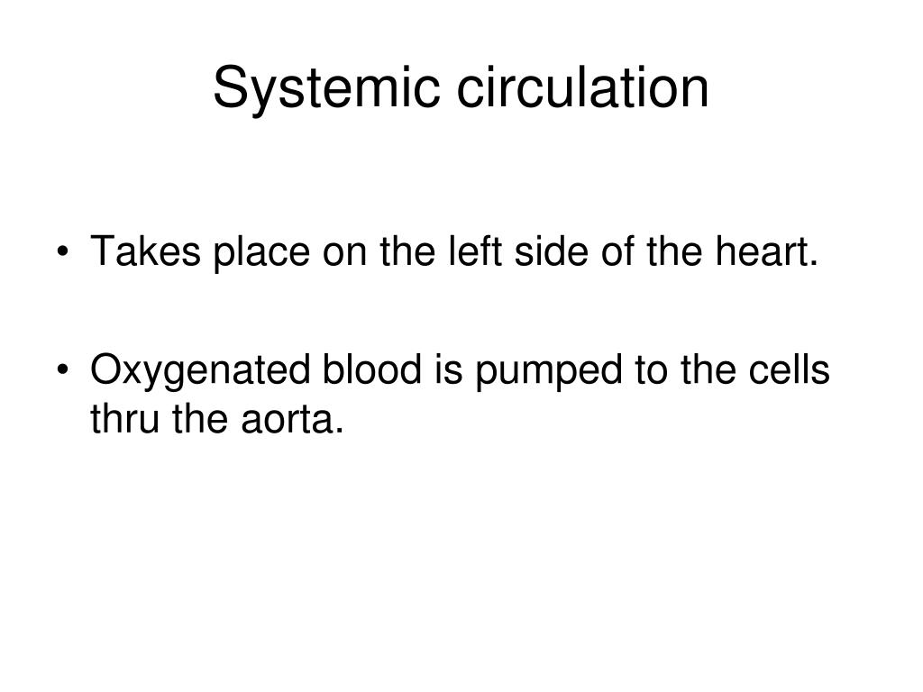 PPT - Understanding the Circulatory System: Functions and Components ...