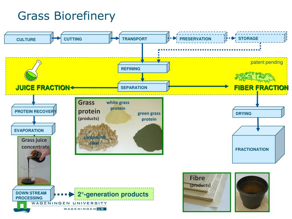 PPT - Biorefinery , the bridge between agriculture and chemistry ...