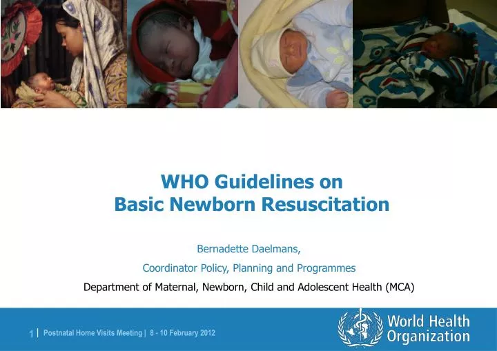 PPT - WHO Guidelines on Basic Newborn Resuscitation PowerPoint ...