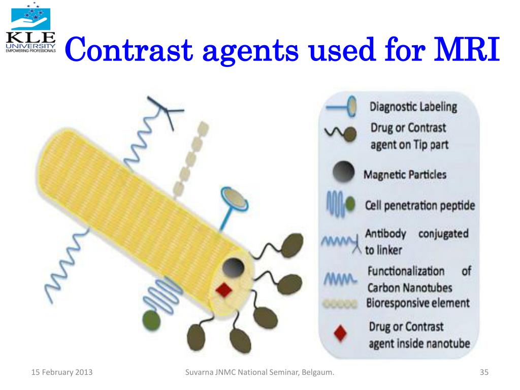 PPT - Nanopharmacology and Nanomedicine PowerPoint Presentation, free ...
