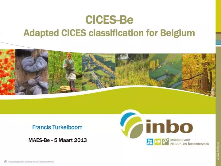 PPT - CICES-Be Adapted CICES classification for Belgium PowerPoint ...