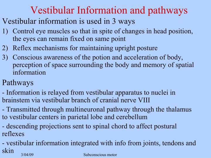 PPT - Vestibular system PowerPoint Presentation - ID:2408029