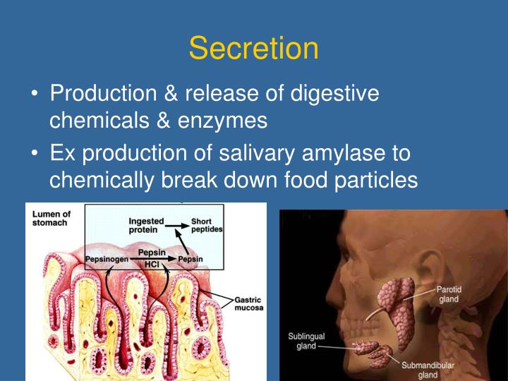 PPT - Course objectives PowerPoint Presentation - ID:2408359