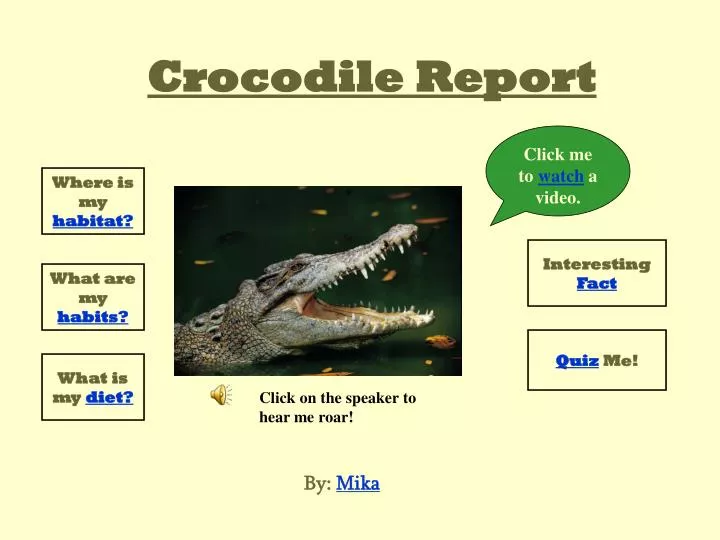 PPT - Crocodile Report PowerPoint Presentation, free download - ID:2408810