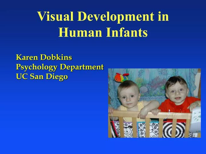 PPT - Visual Development in Human Infants PowerPoint Presentation, free ...