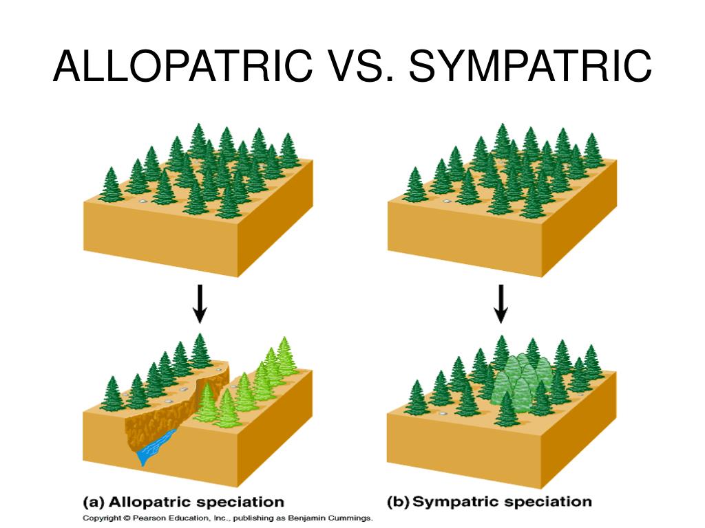 PPT - POPULATION GENETICS, SELECTION AND SPECIATION PowerPoint ... PPT - POPULATION GENETICS, SELECTION AND SPECIATION PowerPoint ...