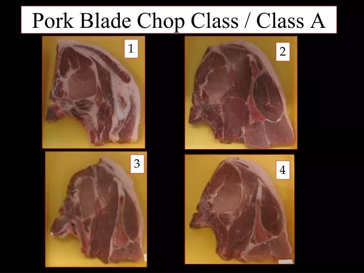 PPT - Pork Blade Chop Class / Class A PowerPoint Presentation, free ...