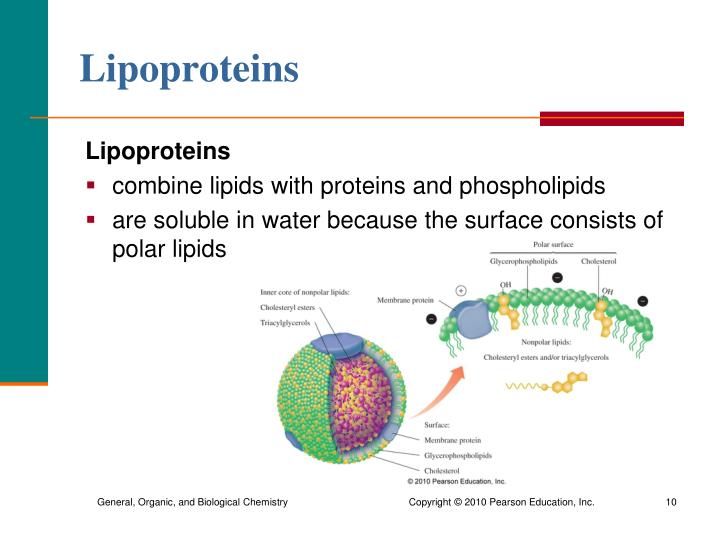 PPT - Chapter 17 Lipids PowerPoint Presentation - ID:2409362