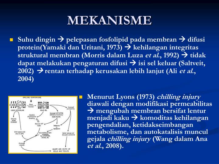 PPT - CHILLING INJURY PowerPoint Presentation - ID:2409817