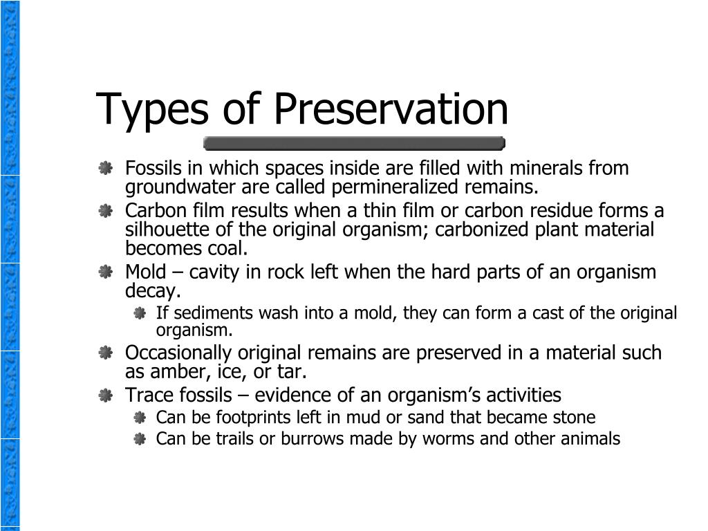 PPT - Clues to the Earth’s Past PowerPoint Presentation, free download ...