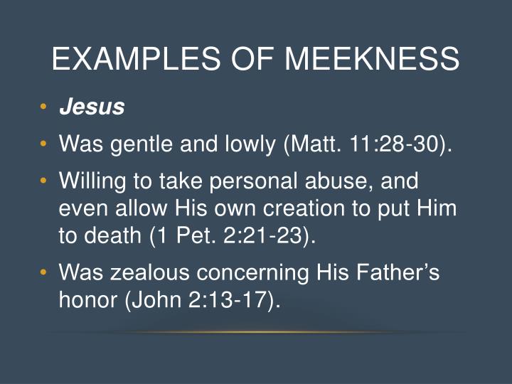 PPT - Blessed are the Meek For They Shall Inherit the Earth PowerPoint ...