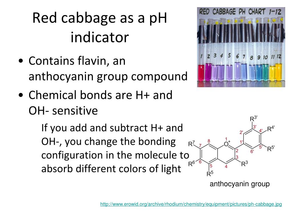 PPT - Intensive Chemistry Day 3: Chemical Reactions PowerPoint ...