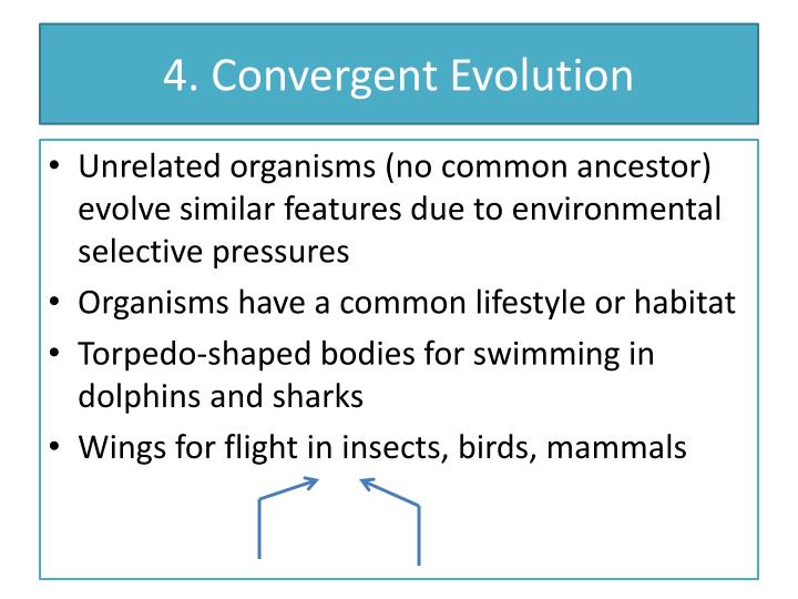 PPT - Major Trends in Evolution PowerPoint Presentation - ID:2411265