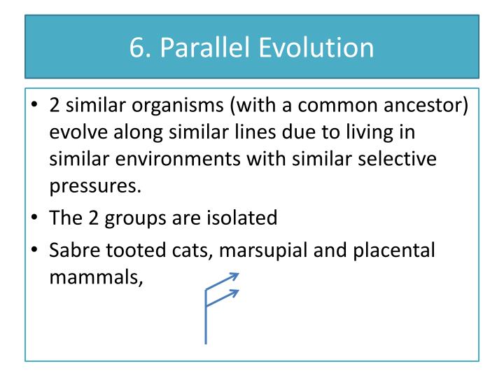 PPT - Major Trends in Evolution PowerPoint Presentation - ID:2411265