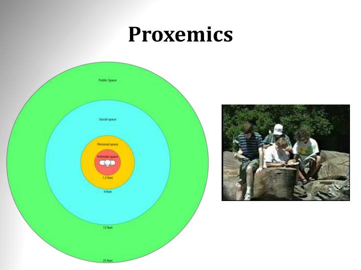 PPT - Non-Verbal Communication Skills PowerPoint Presentation - ID:2411493