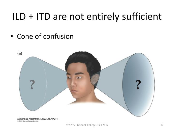 PPT - Hearing in the Environment 1 PowerPoint Presentation - ID:2411764