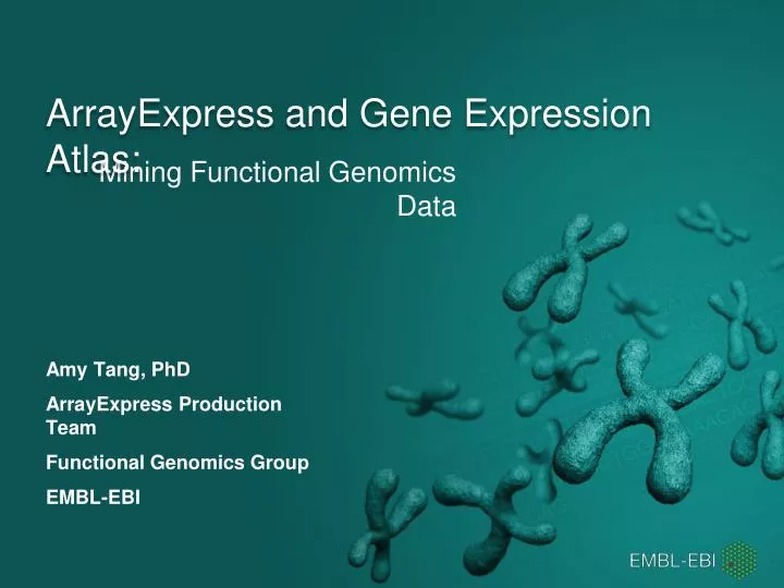 PPT - ArrayExpress and Gene Expression Atlas: PowerPoint Presentation ...