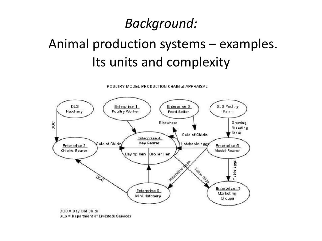 PPT - Animal transport / production What ethical issues arise ...