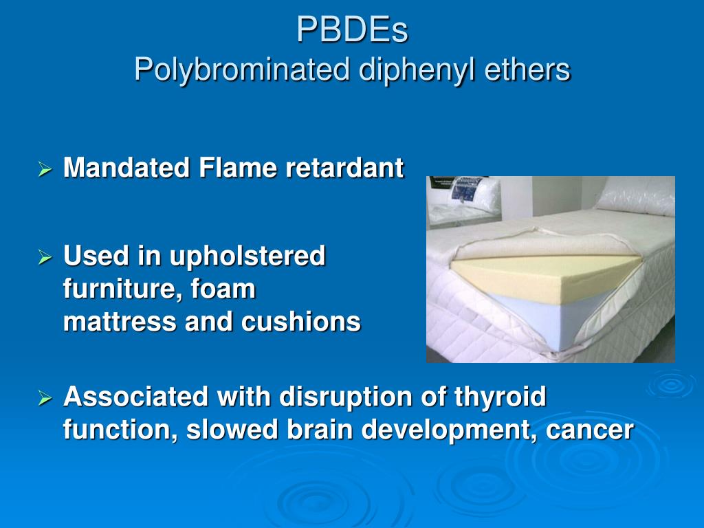 PPT - THE BIOLOGY and ENVIRONMENTAL EPIGENETICS OF CANCER PowerPoint ...