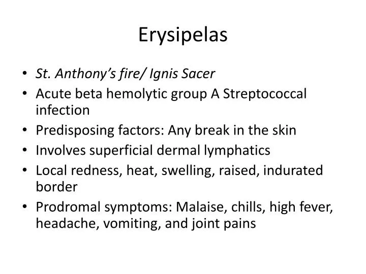 PPT - Erysipelas PowerPoint Presentation, free download - ID:2412759