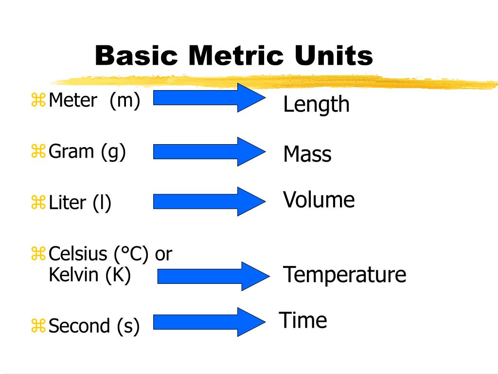 Pictures Of Metric Units Pictures Of Metric Units
