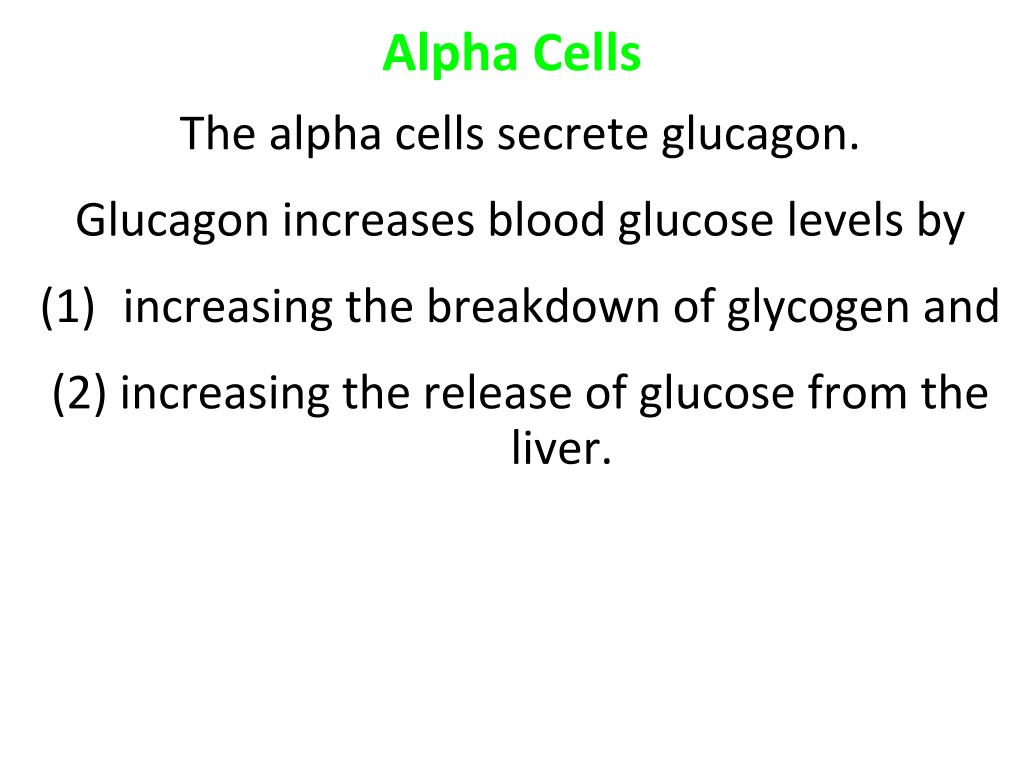 PPT - Major Endocrine Glands – Abdominopelvic - 2 PowerPoint ...