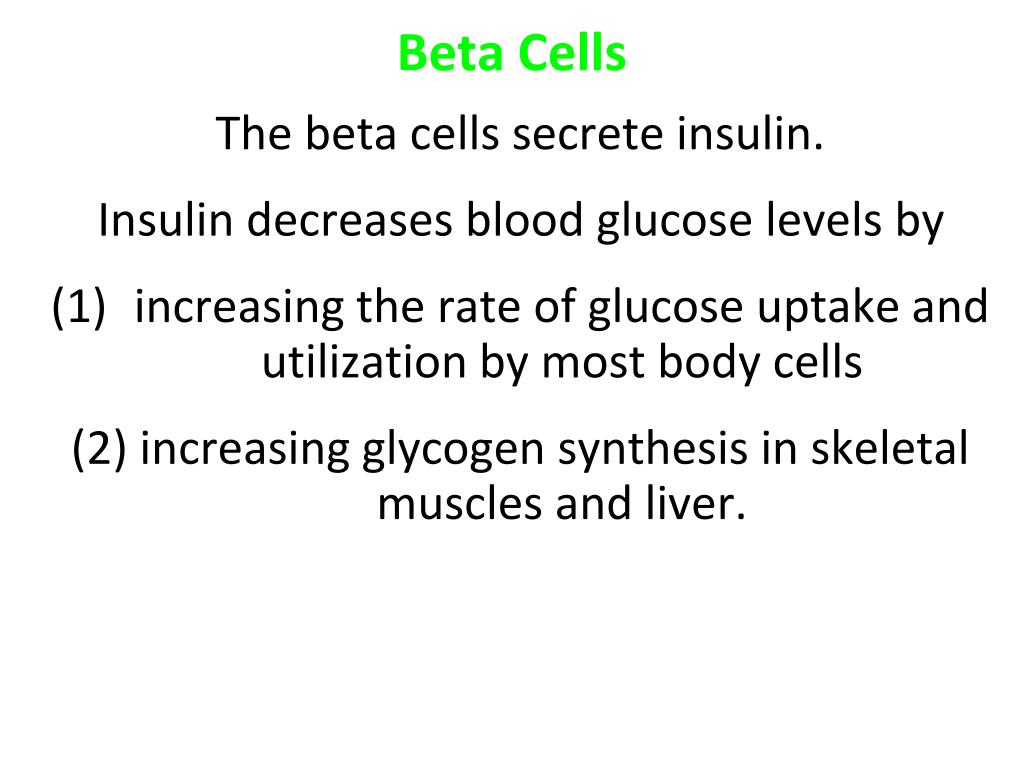 PPT - Major Endocrine Glands – Abdominopelvic - 2 PowerPoint ...