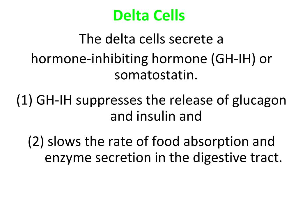 PPT - Major Endocrine Glands – Abdominopelvic - 2 PowerPoint ...