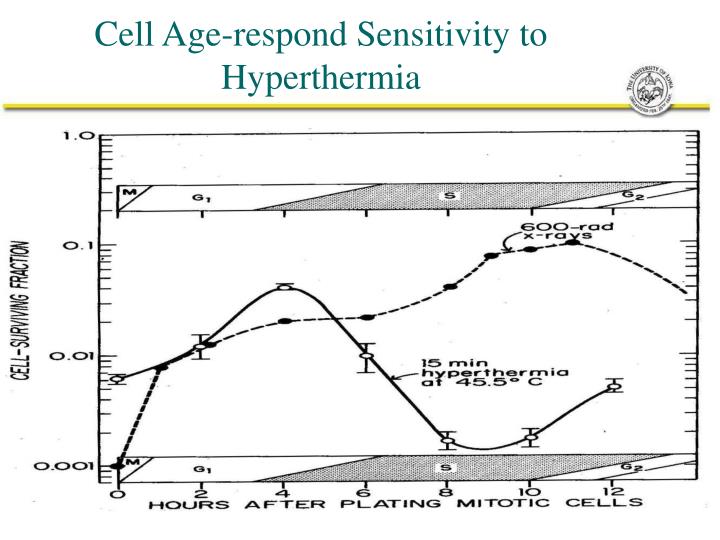 PPT - Cell Cycle and Radiosensitivity PowerPoint Presentation - ID:2414060