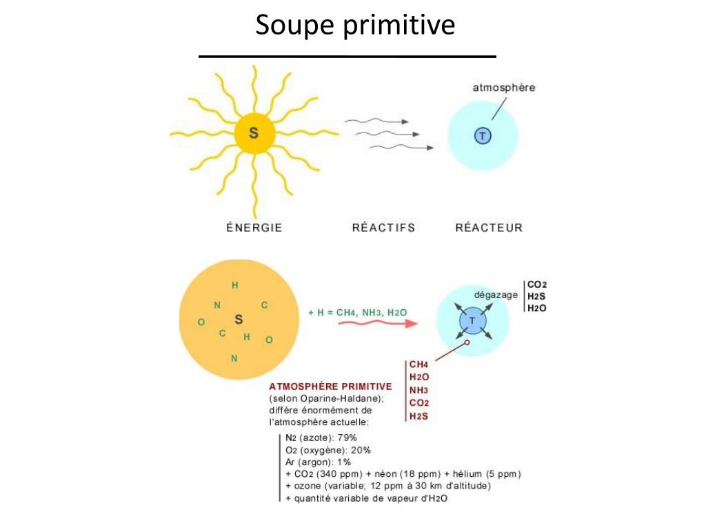 PPT - Histoire de la vie sur la Terre PowerPoint Presentation, free ...