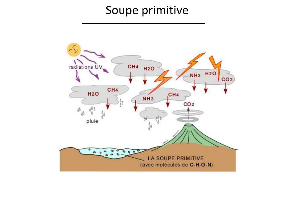 PPT - Histoire de la vie sur la Terre PowerPoint Presentation, free ...