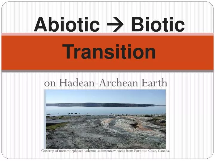 PPT - Abiotic Biotic Transition PowerPoint Presentation, free download ...