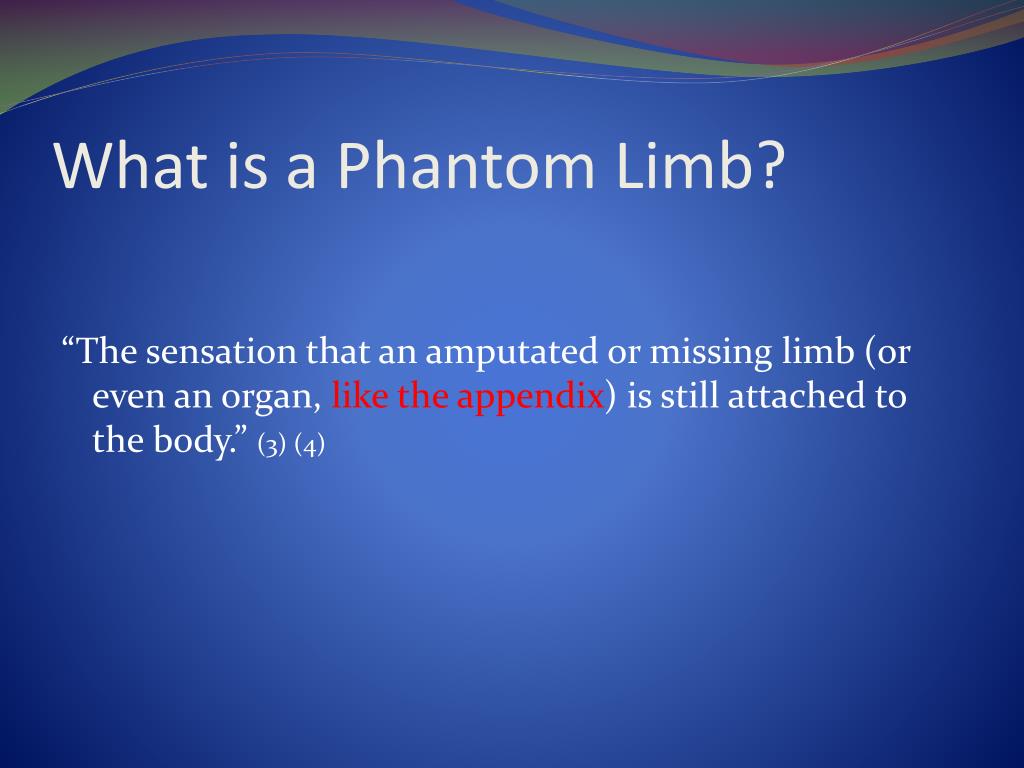 PPT - Mirror Therapy for Phantom Limb Pain PowerPoint Presentation ...
