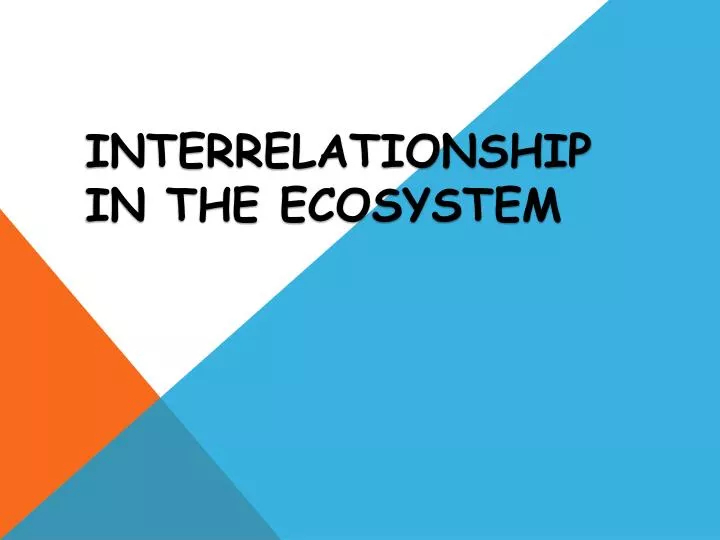 PPT - INTERRELATIONSHIP IN THE ECOSYSTEM PowerPoint Presentation - ID ...