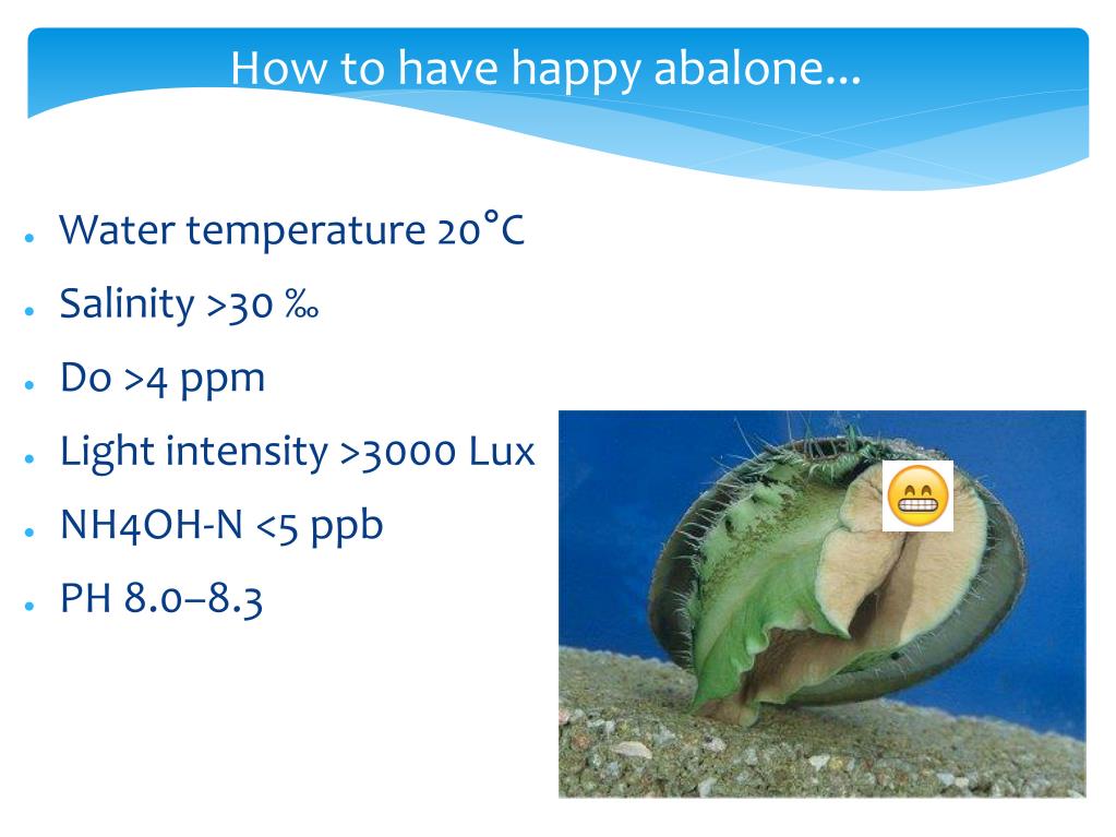 PPT - Zoe Nichols Marine Aquaculture Dauphin Island Sea Lab PowerPoint ...