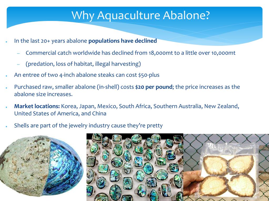 PPT - Zoe Nichols Marine Aquaculture Dauphin Island Sea Lab PowerPoint ...