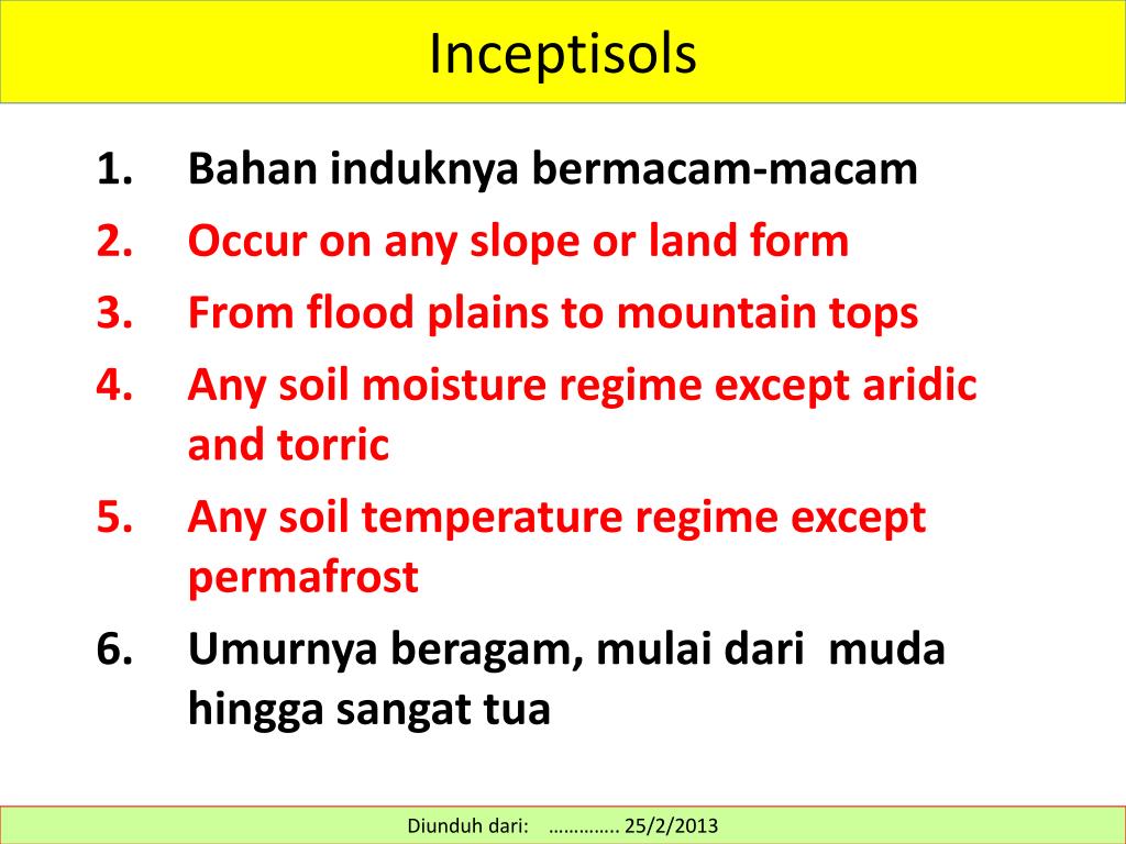 PPT - BAHAN KAJIAN MK. DASAR ILMU TANAH TANAH INCEPTISOLS PowerPoint ...