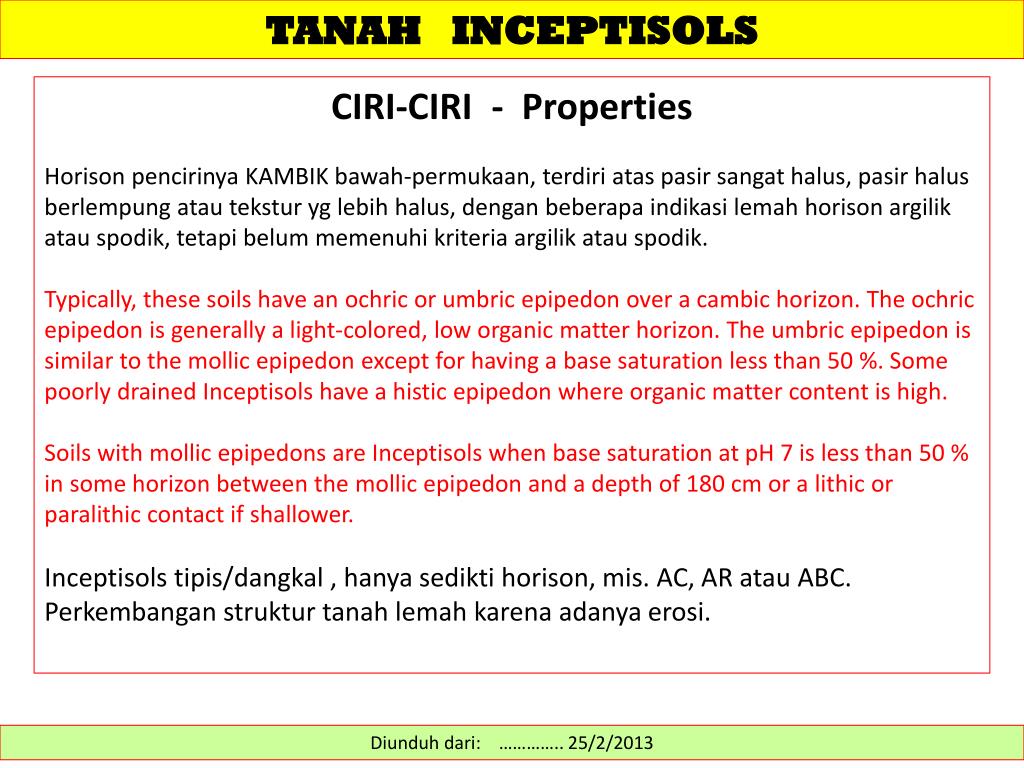 PPT - BAHAN KAJIAN MK. DASAR ILMU TANAH TANAH INCEPTISOLS PowerPoint ...