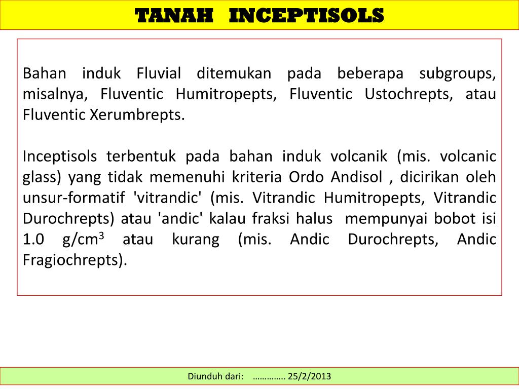 PPT - BAHAN KAJIAN MK. DASAR ILMU TANAH TANAH INCEPTISOLS PowerPoint ...